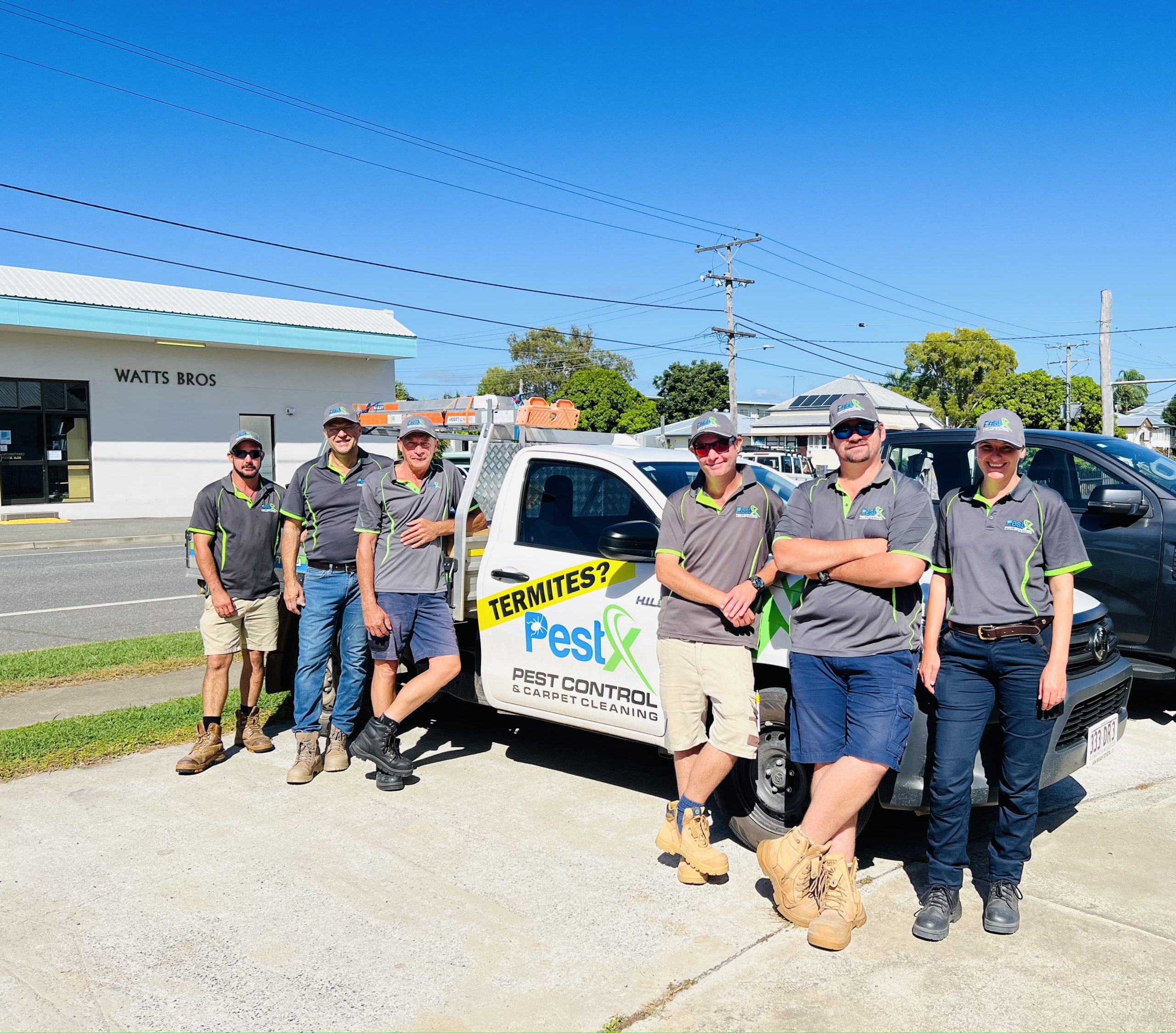 Bird Control Rockhampton - PestX